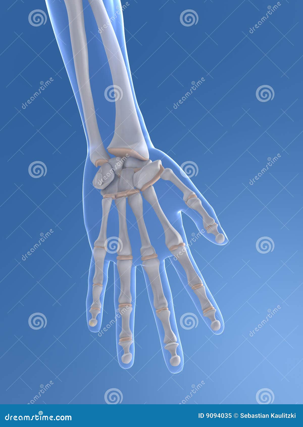 Raggi X della mano illustrazione di stock. Illustrazione di raggio ...