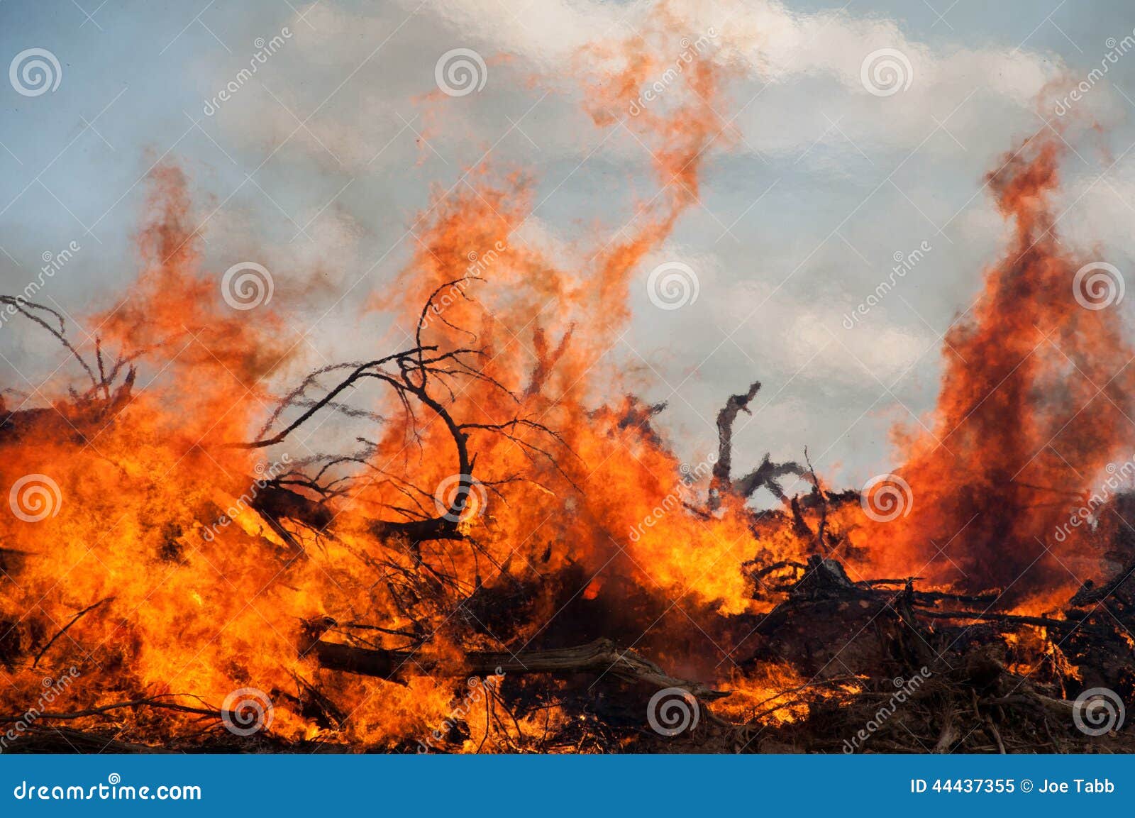 Raging fire stock image. Image of wood, heat, burning - 44437355