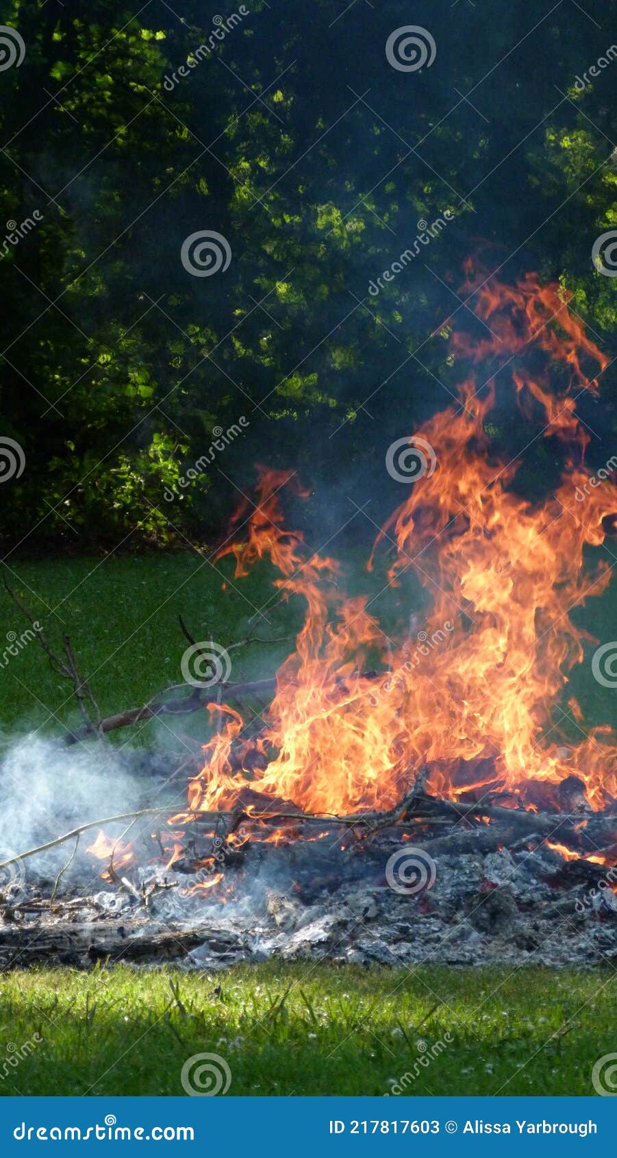 Raging Fire Illuminated by Sunlight Stock Image - Image of wood, tree ...