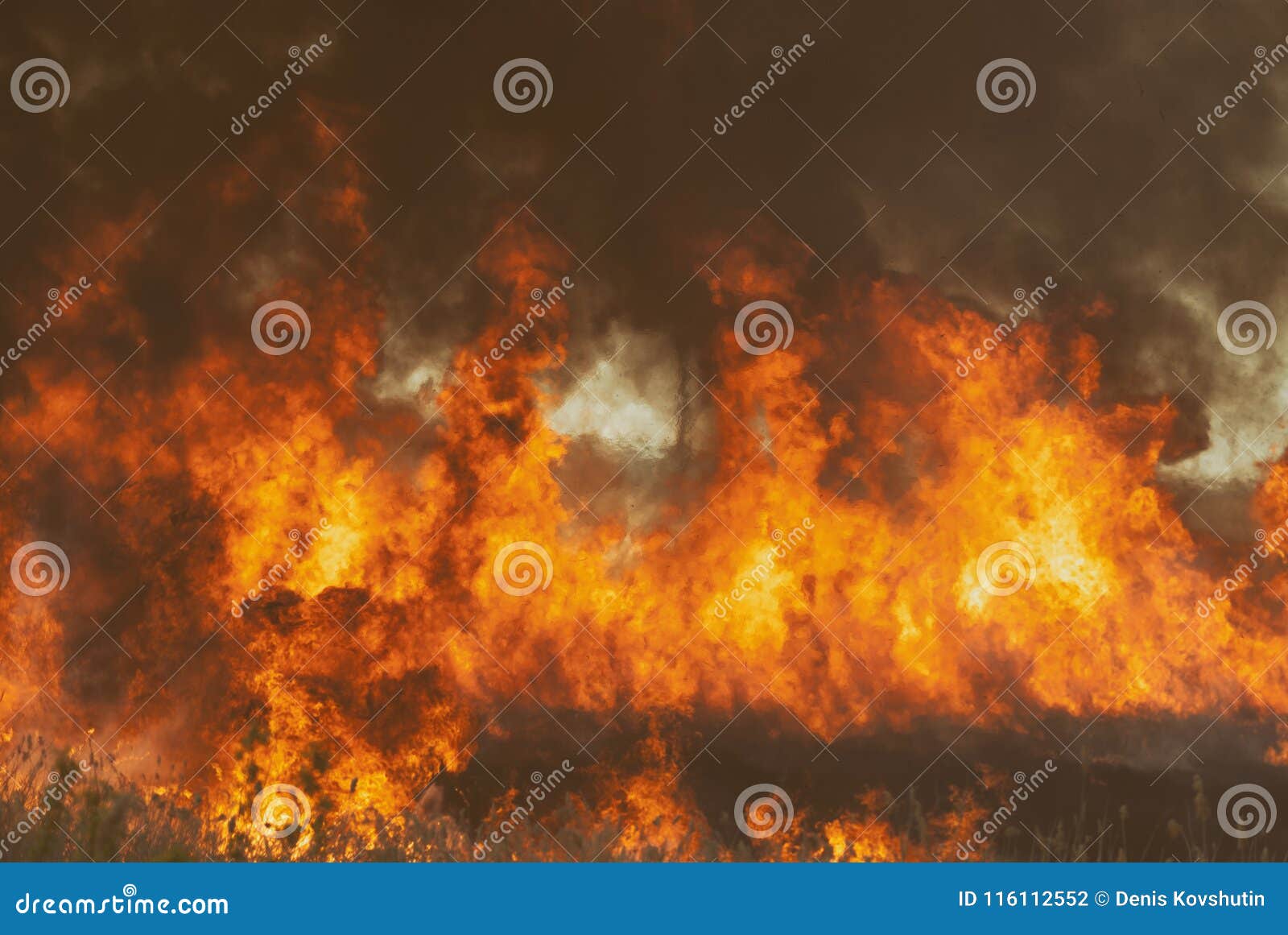 The Raging Flame of Fire Burn in the Fields, Forests and Black Thick ...