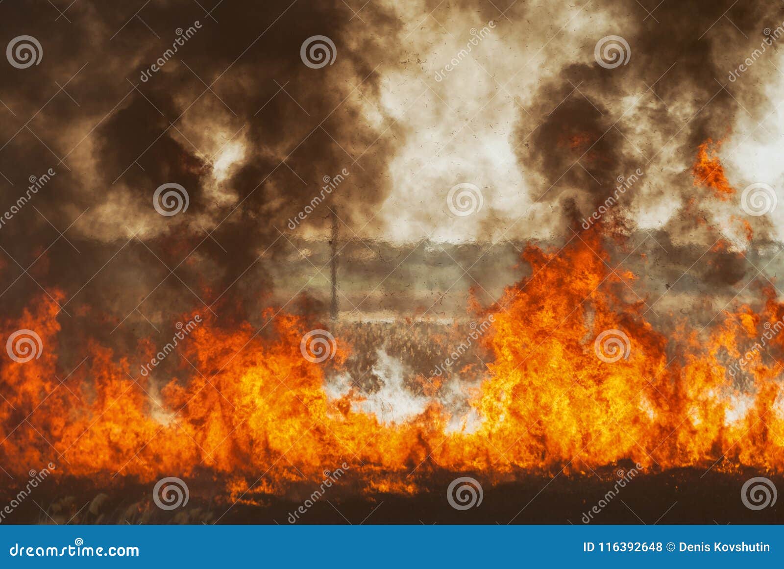 The Raging Flame of Fire Burn in the Fields, Forests and Black Thick ...