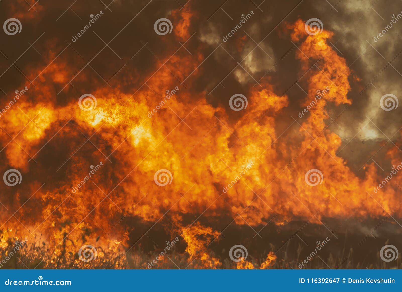 The Raging Flame of Fire Burn in the Fields, Forests and Black Thick ...