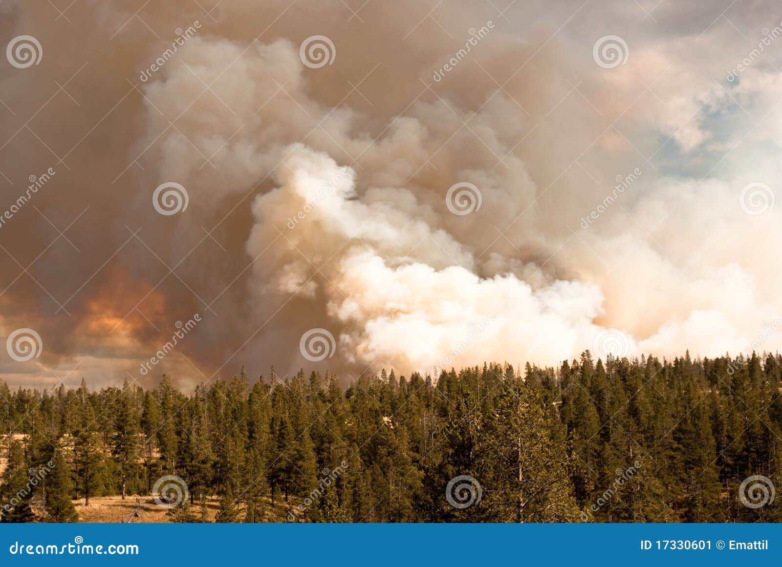Raging forest fire stock image. Image of billow, smoke - 17330601