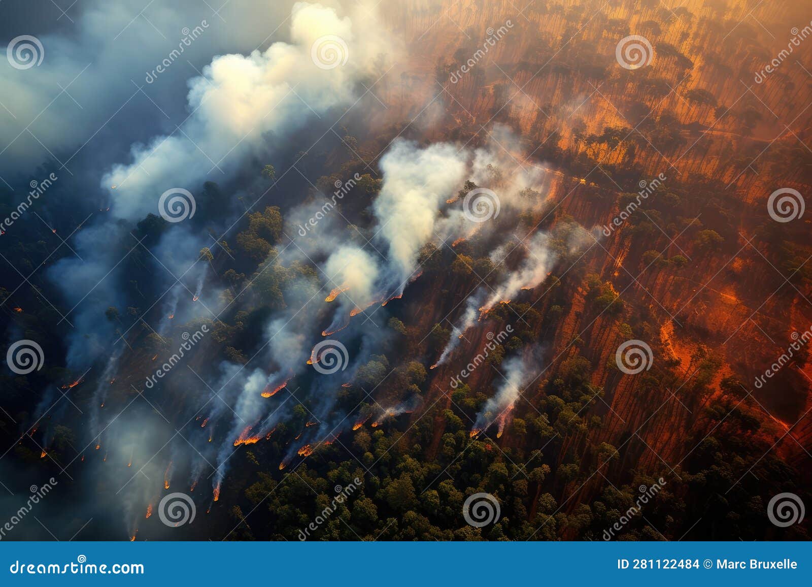 Raging Forest Fire - AI Generated Stock Illustration - Illustration of ...