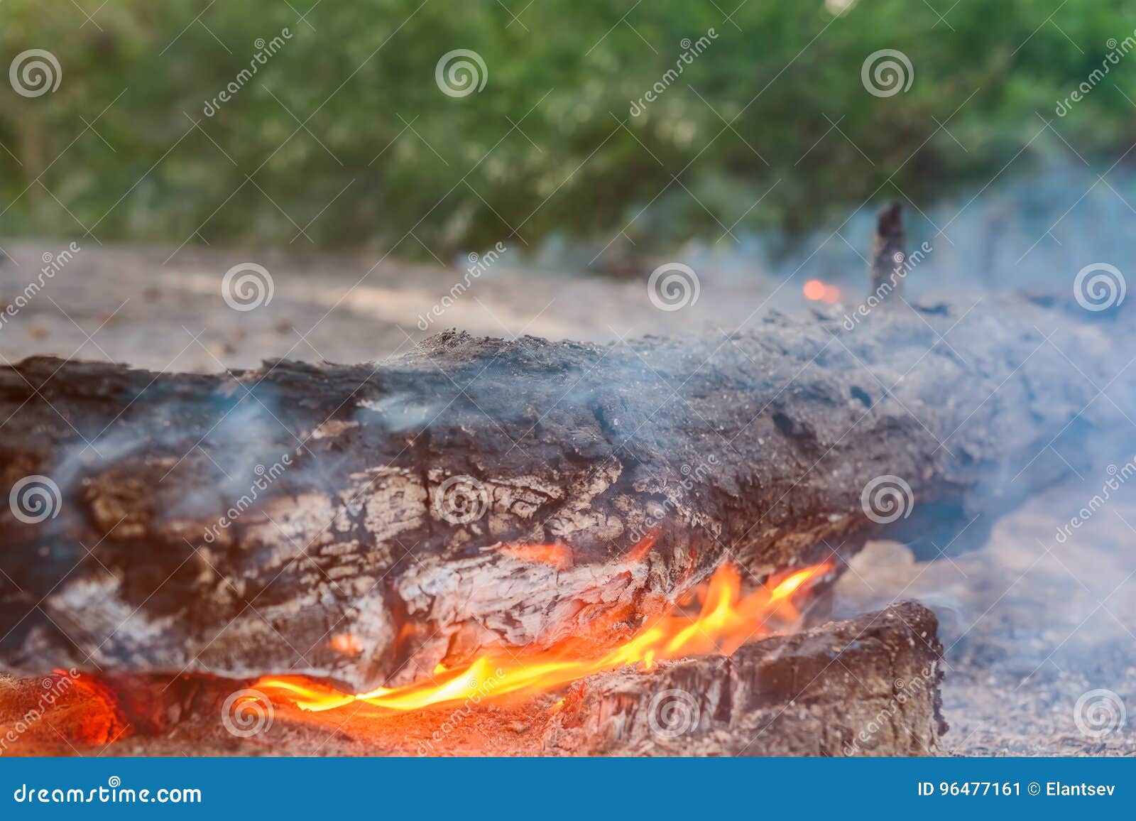 Raging Pine Tree Fire Across the Hill. Stock Image - Image of problem ...
