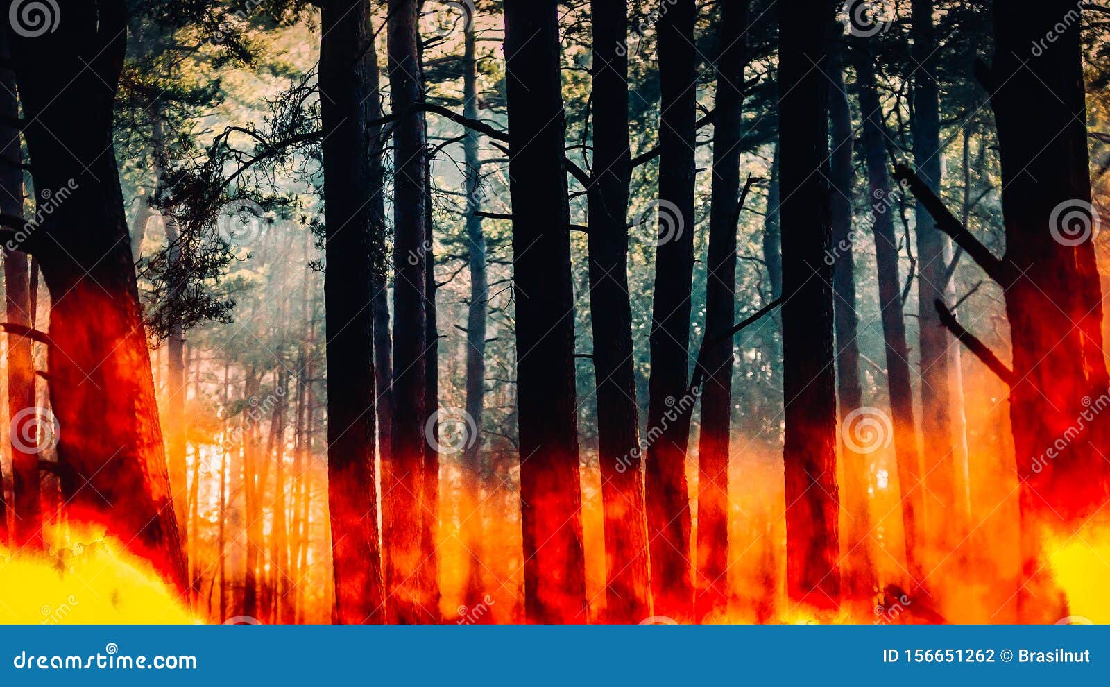 880 Fire Raging Forest Photos - Free & Royalty-Free Stock Photos from ...