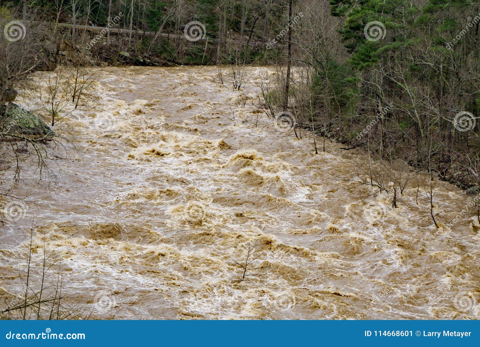 Maury River At Flood Stage Flooding Low Lying Areas Stock Image ... Maury River At Flood Stage Flooding Low Lying Areas Stock Image ...