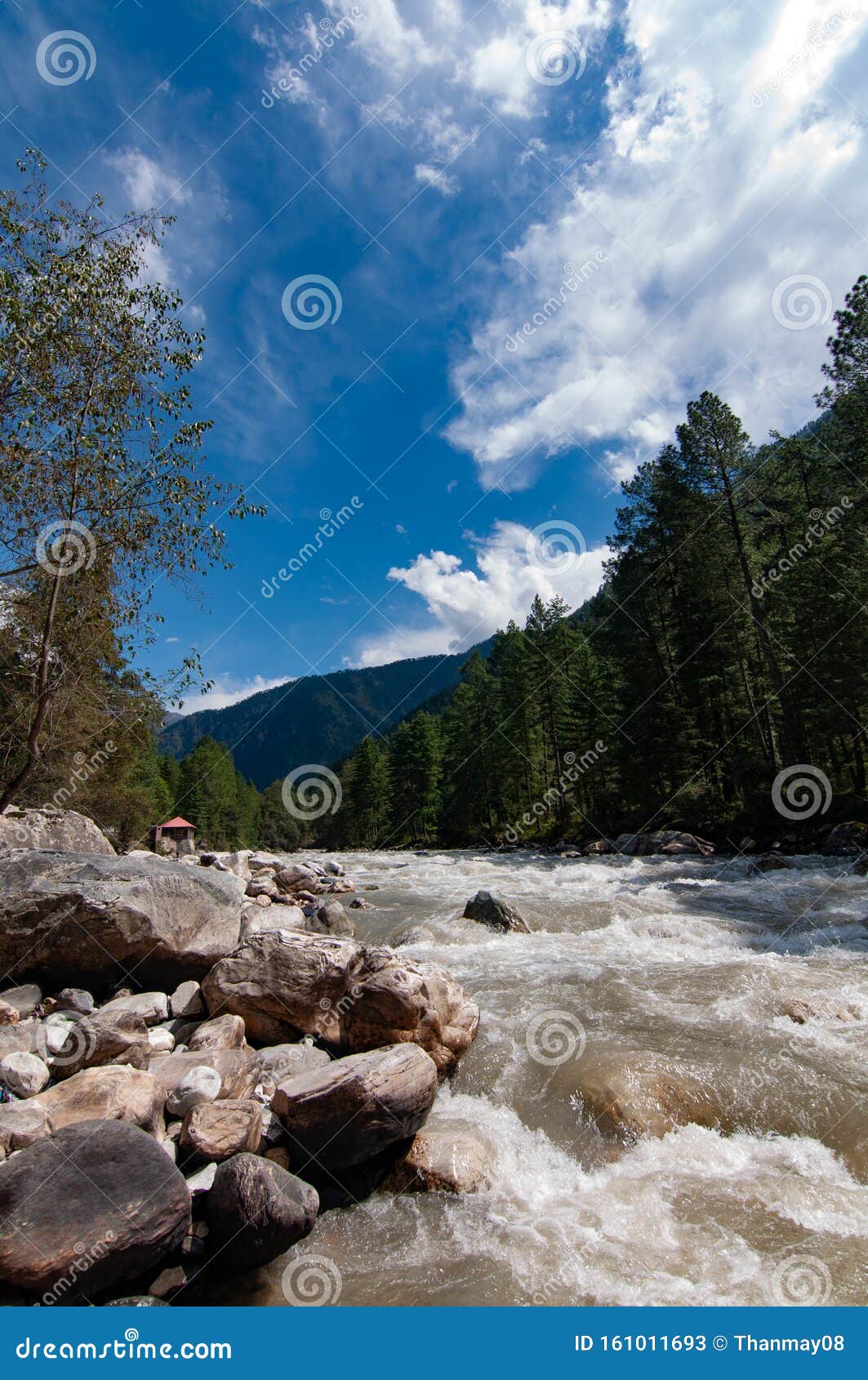 Raging river in a forest stock image. Image of wild - 161011693