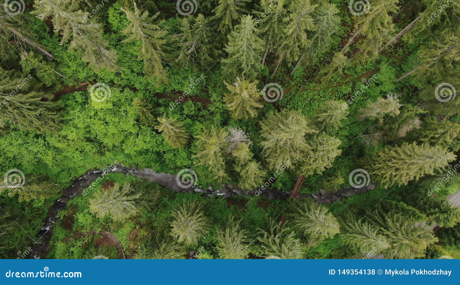 Raging River Looking Straight Down on Rapids through Thick Forest of ...