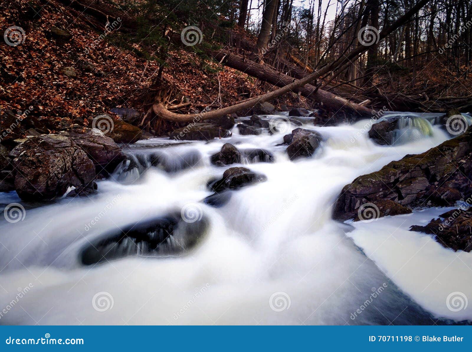 Raging River Rapids stock photo. Image of rapids, hiking - 70711198