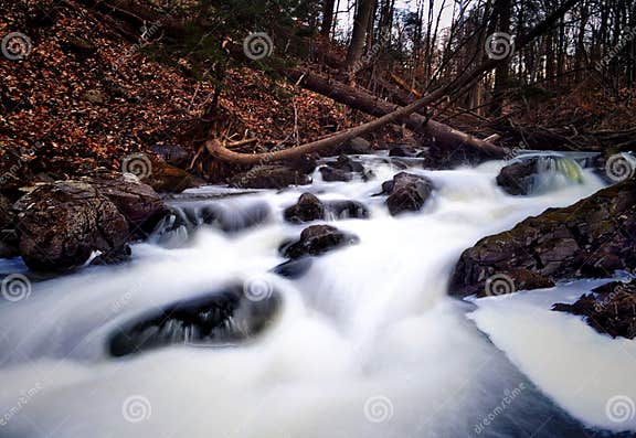 Raging River Rapids stock photo. Image of rapids, hiking - 70711198