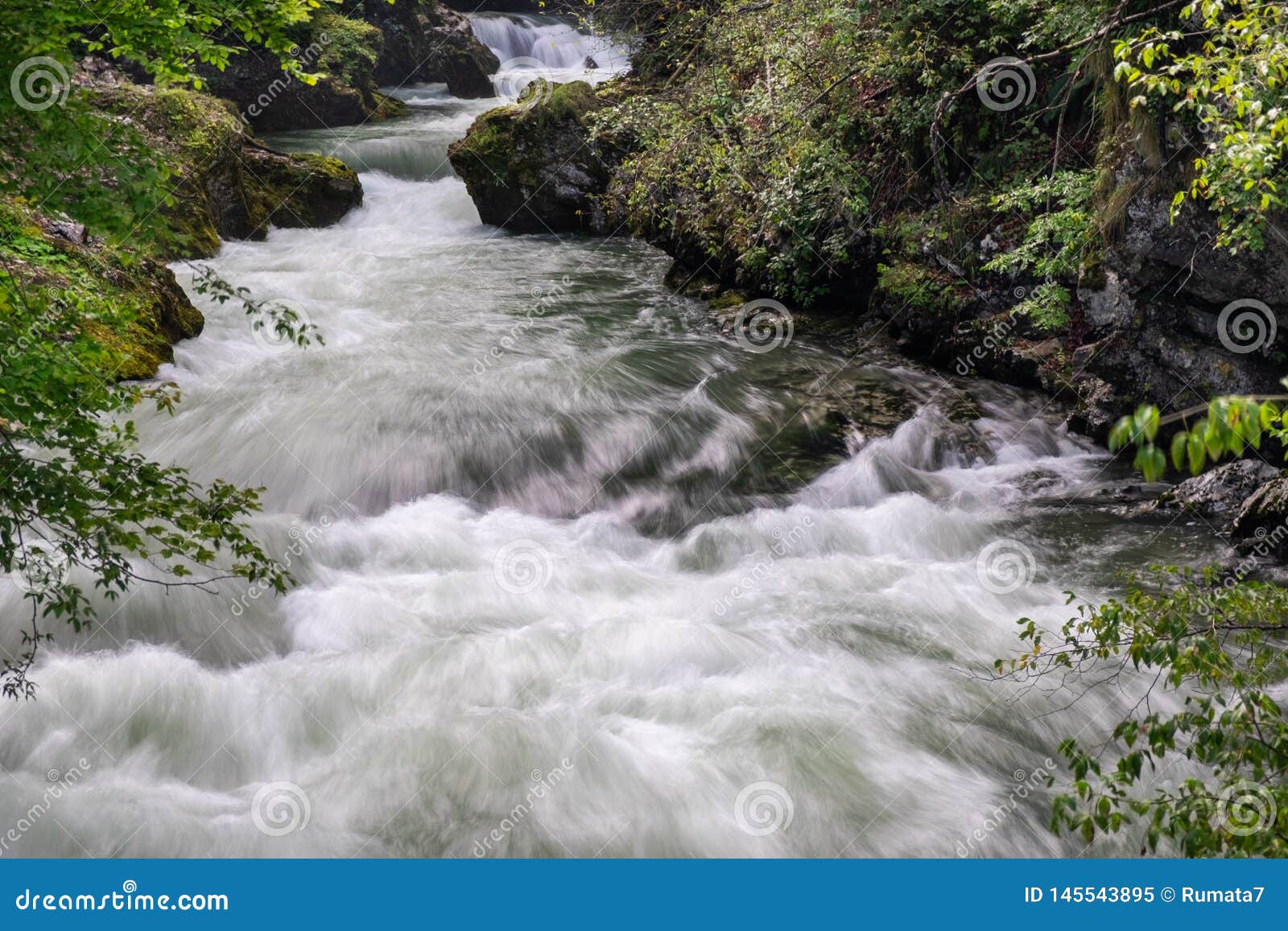 Raging River at Vintgar Gorge Canyon Stock Image - Image of fall ...