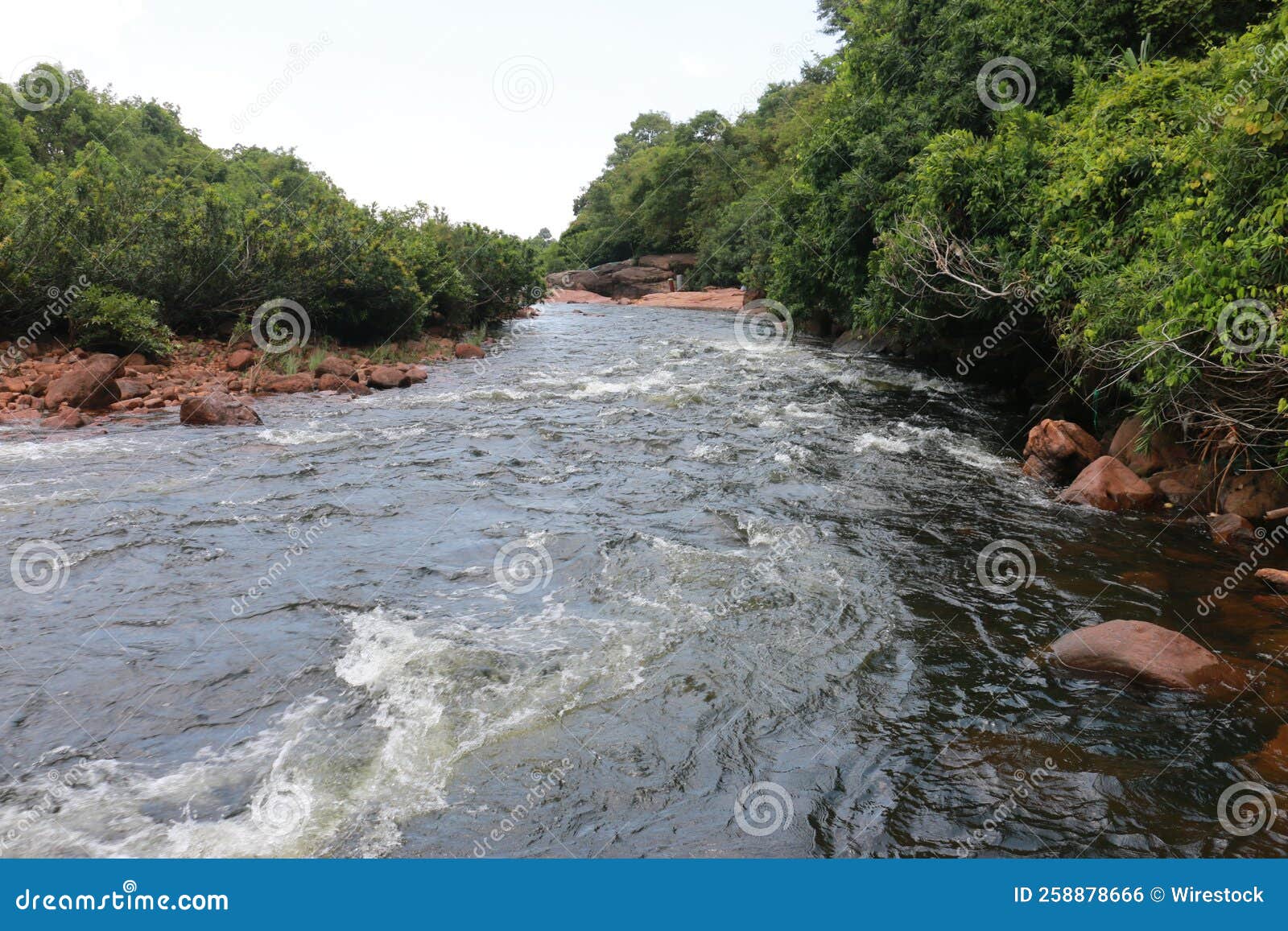 Raging River Water with Big Rocks and Trees Stock Photo - Image of ...