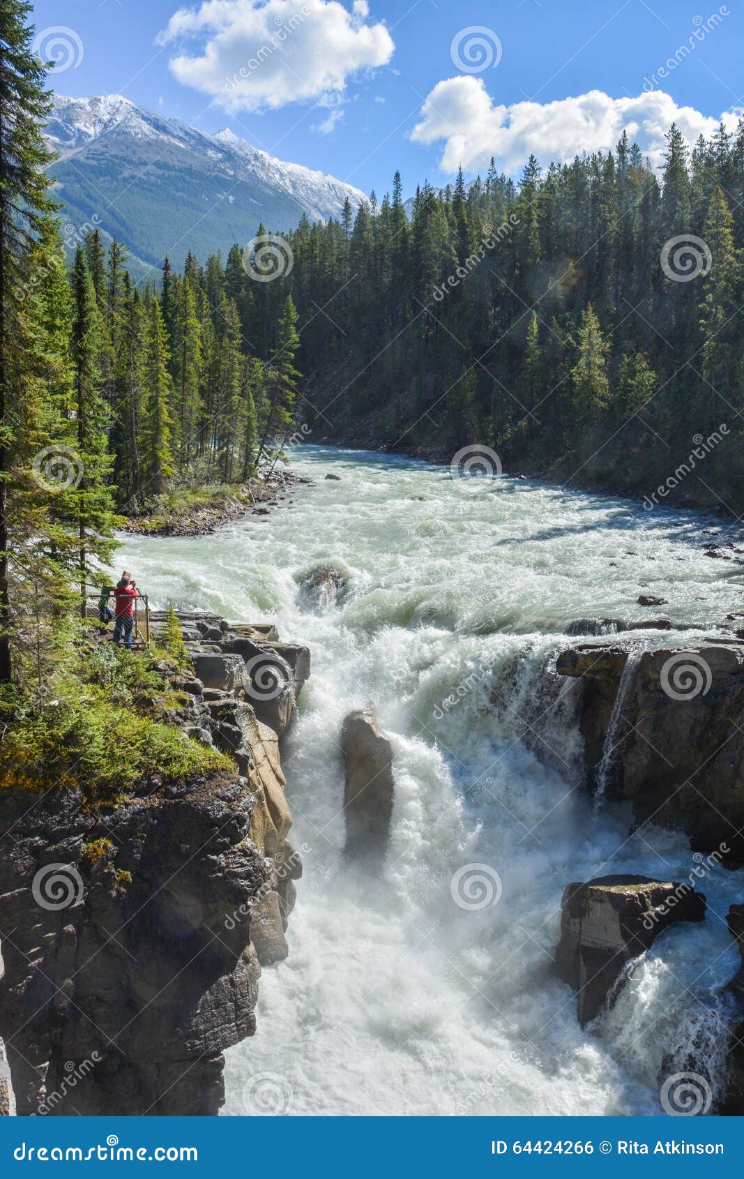 Raging river waterfall stock photo. Image of white, water - 64424266