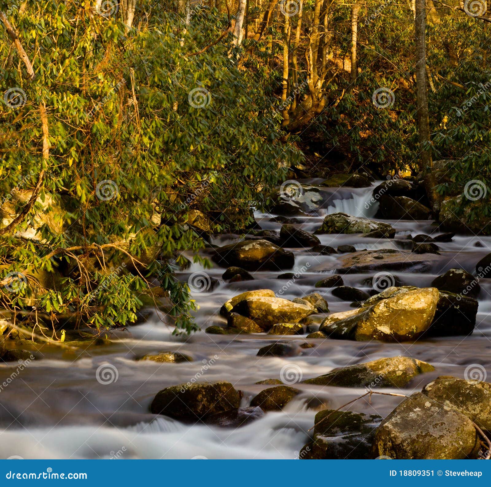 Raging Stream in Spring in Smokies Stock Image - Image of rocks ...