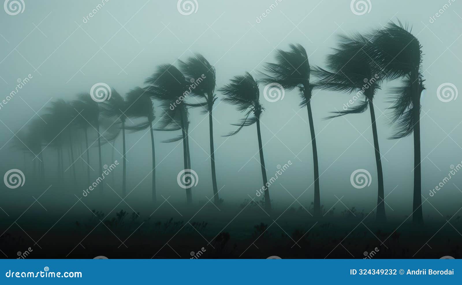 Raging Tempest: Palm Trees Dancing in the Wind. Stock Illustration ...