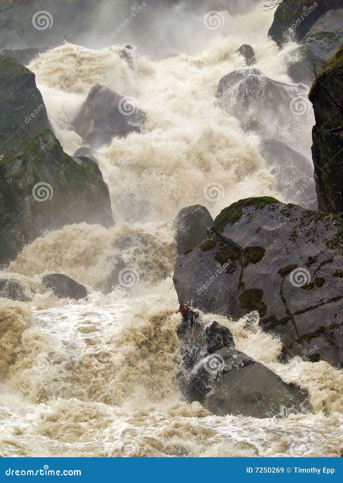 Raging Torrent stock image. Image of dangerous, boulders - 7250269