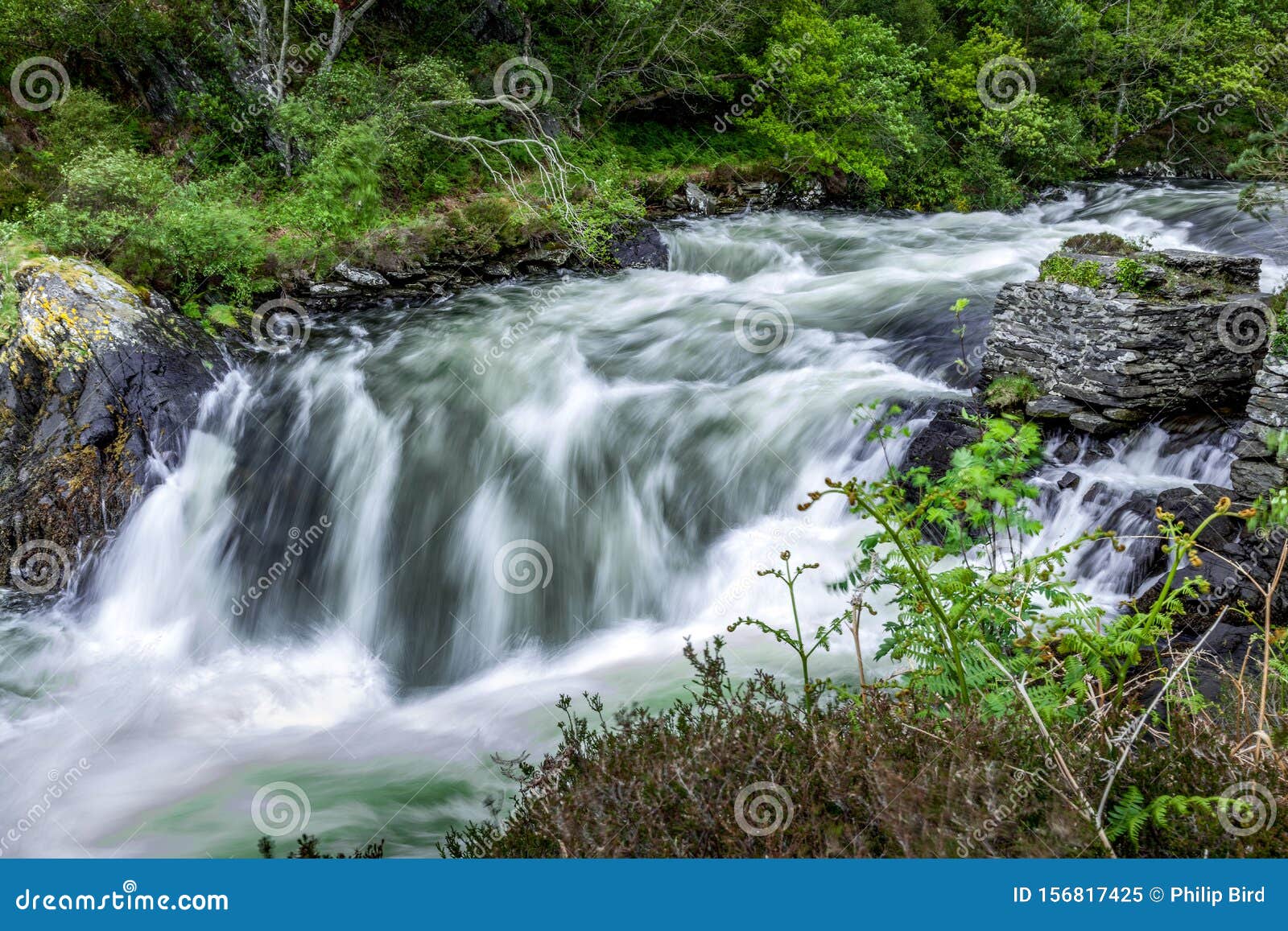 Raging Torrent Pouring Out of Loch Morar Stock Image - Image of green ...