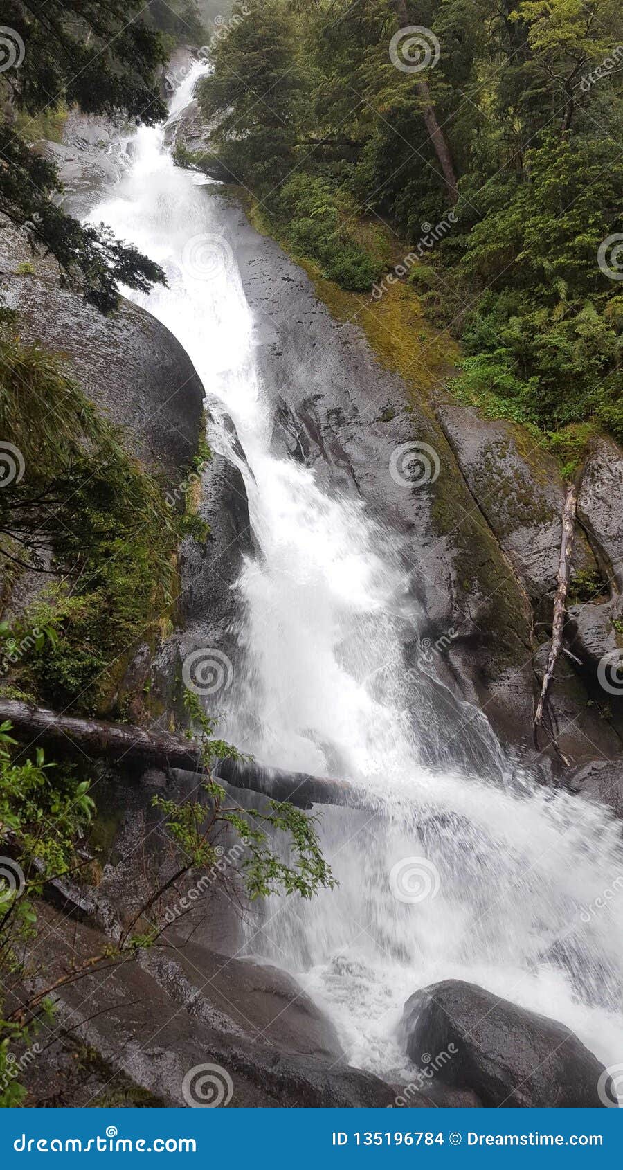 Beautiful Raging Waterfall Stock Photos - Download 386 Royalty Free Photos