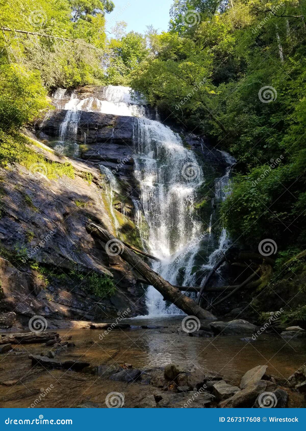 Raging Waterfall Surrounded by Trees and Rocks Stock Photo - Image of ...