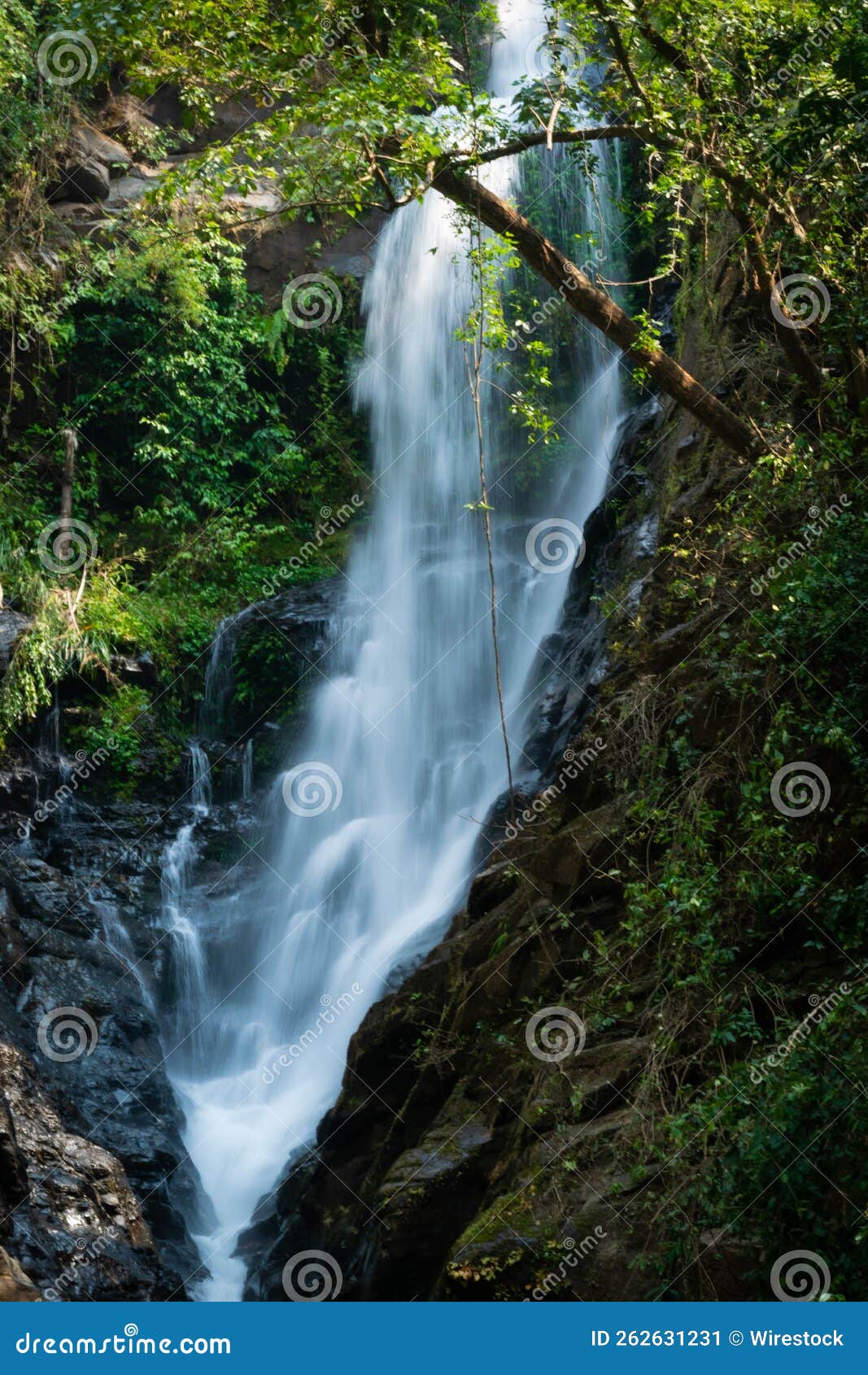 Raging Waterfalls Surrounded by Trees and Rocks Stock Image - Image of ...