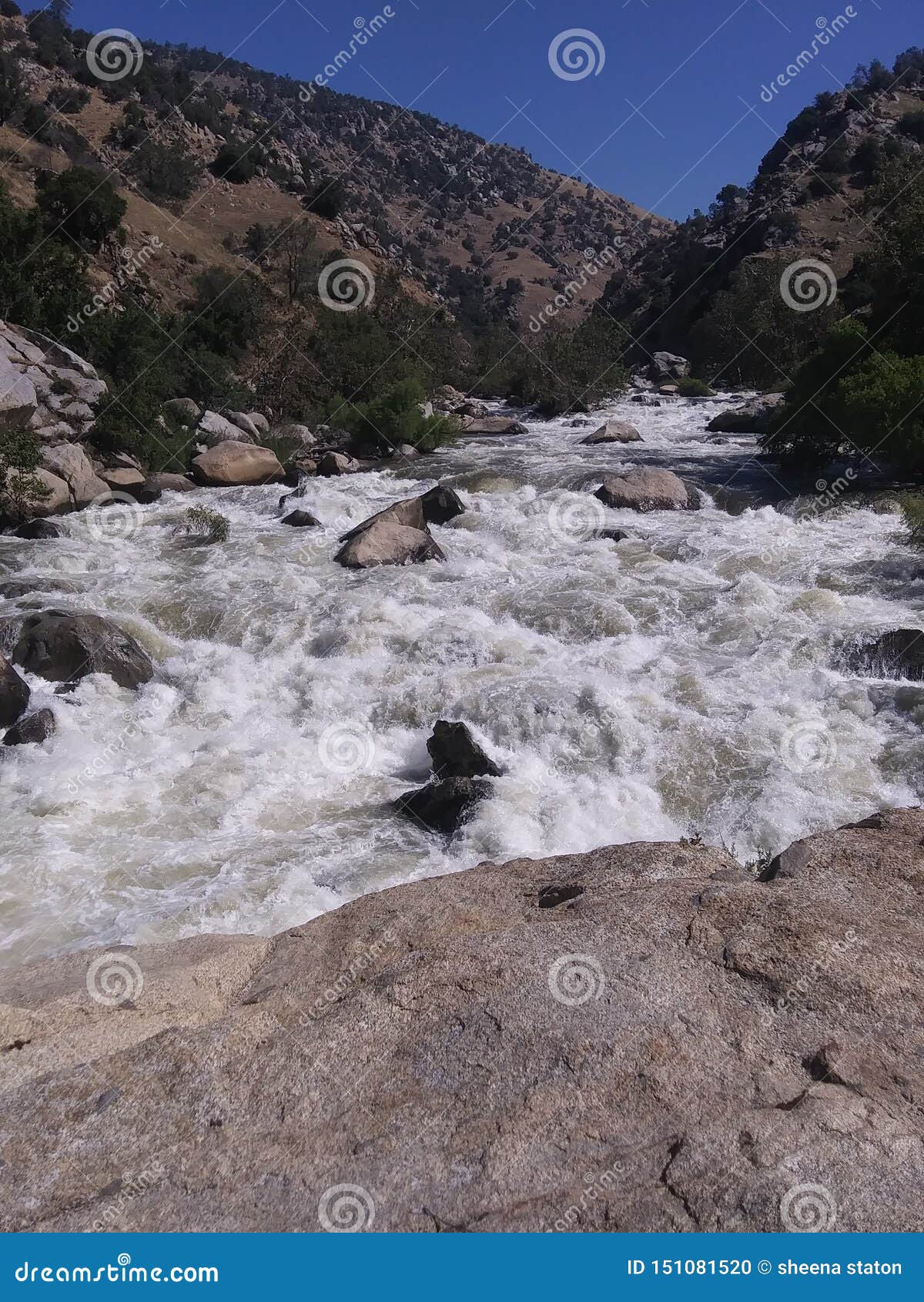 The Raging Rapids of a Cool Mountain River Stock Photo - Image of ...