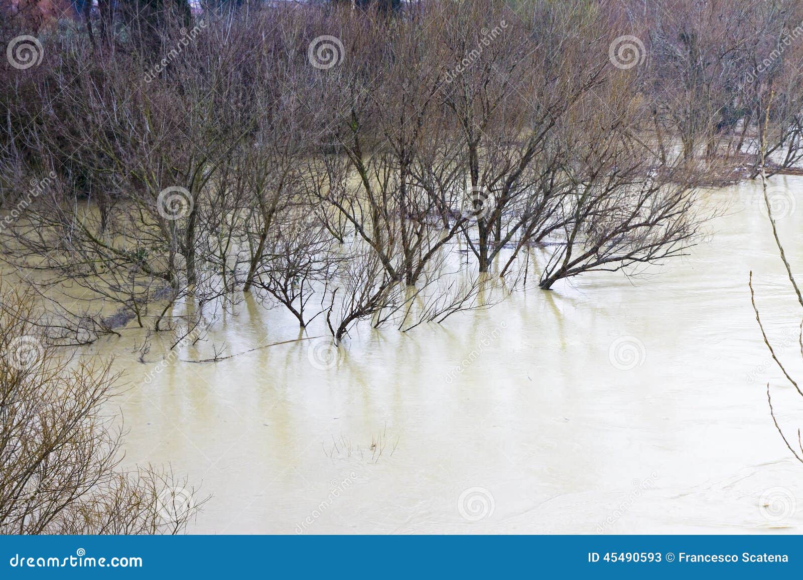 Raging waters and murky stock image. Image of speed, nature - 45490593