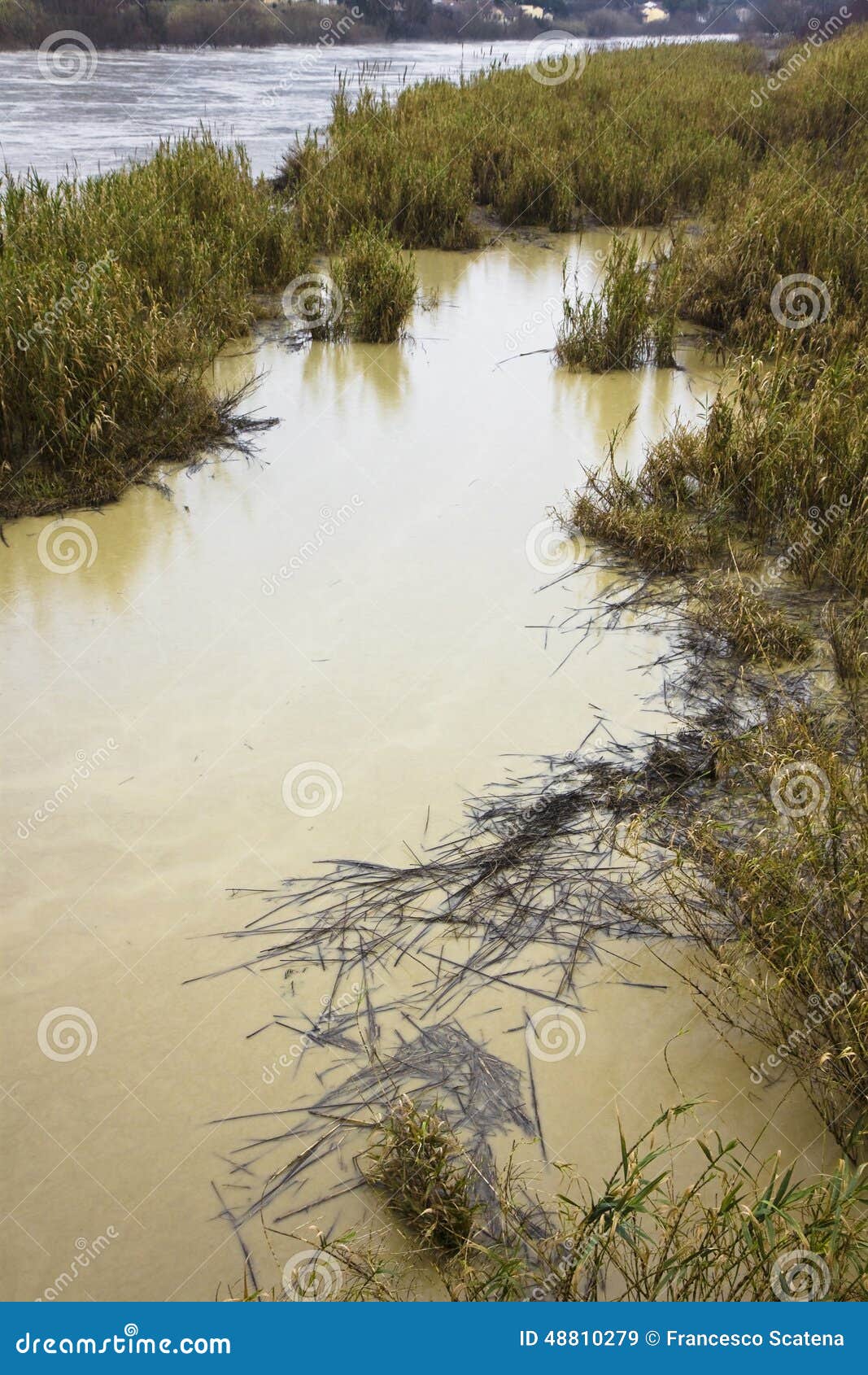 Raging waters and murky stock image. Image of flood, disaster - 48810279