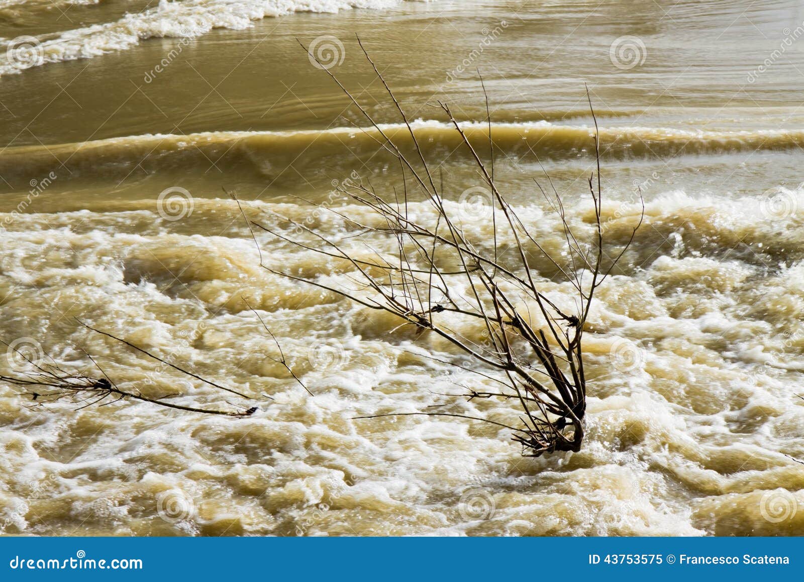 Raging waters and murky stock image. Image of nature - 43753575