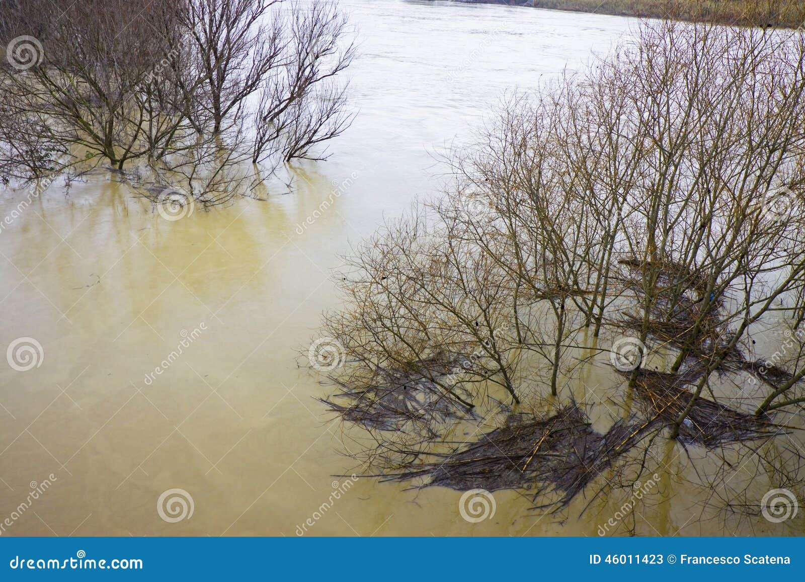 Raging waters stock image. Image of turbid, flowing, nature - 46011423
