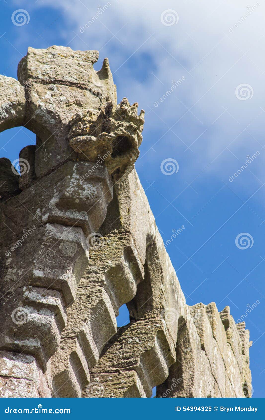 Raglan Castle Gargoyle stock photo. Image of gaping, demon - 54394328