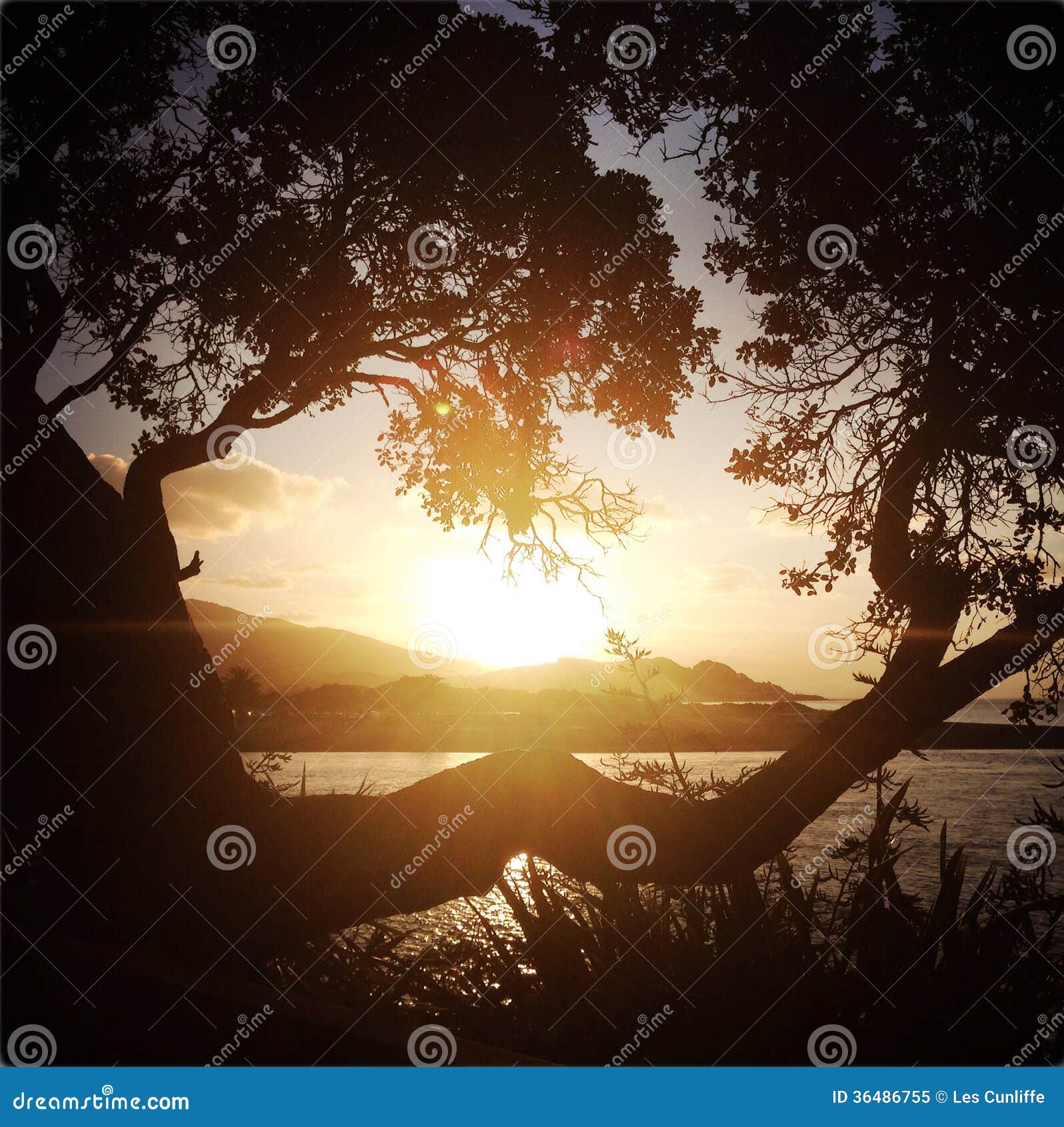 Raglan stock image. Image of north, scene, idyllic, bright - 36486755