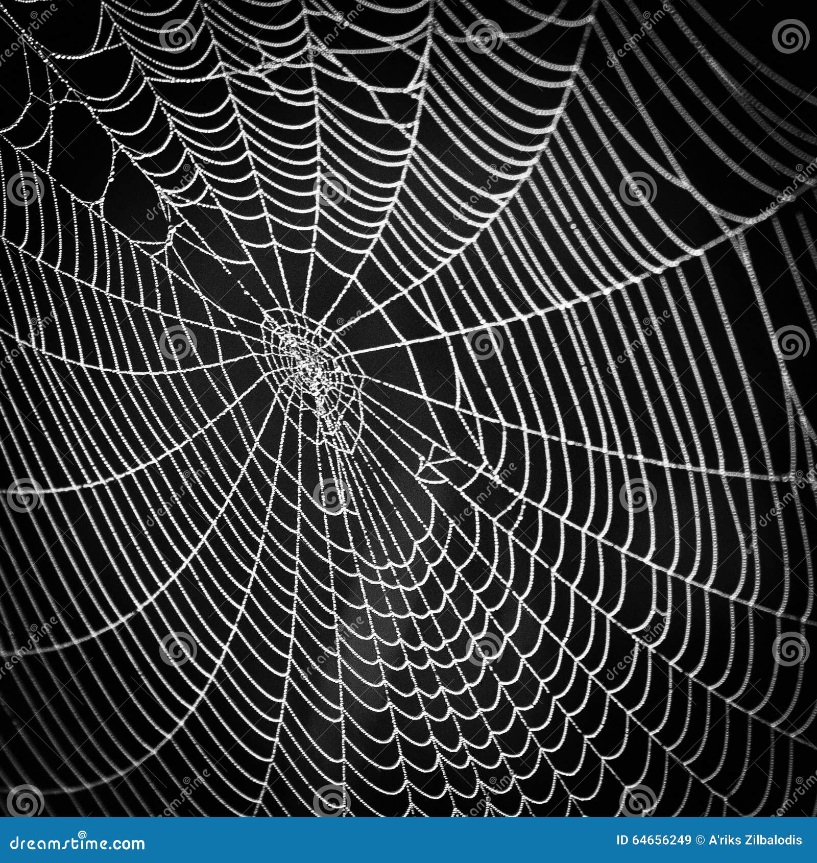 Ragnatele Su Uno Sfondo Naturale Immagine Stock - Immagine di europa ...