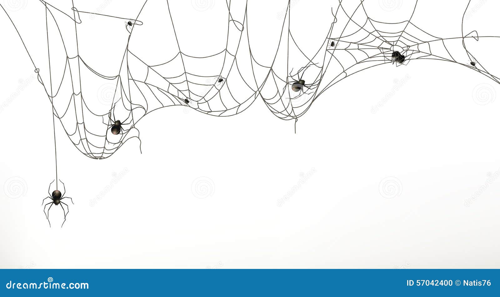 Ragni e ragnatela illustrazione vettoriale. Illustrazione di pericoloso ...