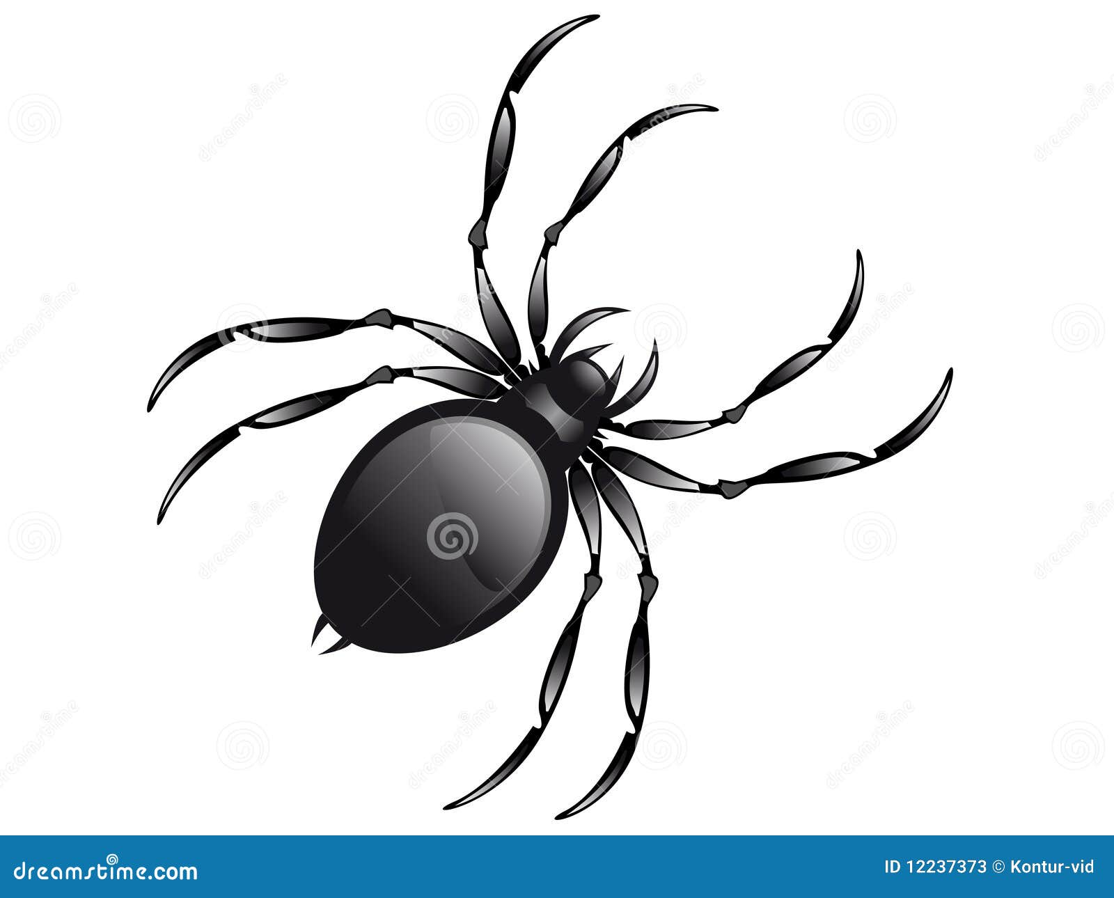 Ragno illustrazione vettoriale. Illustrazione di organismo - 12237373