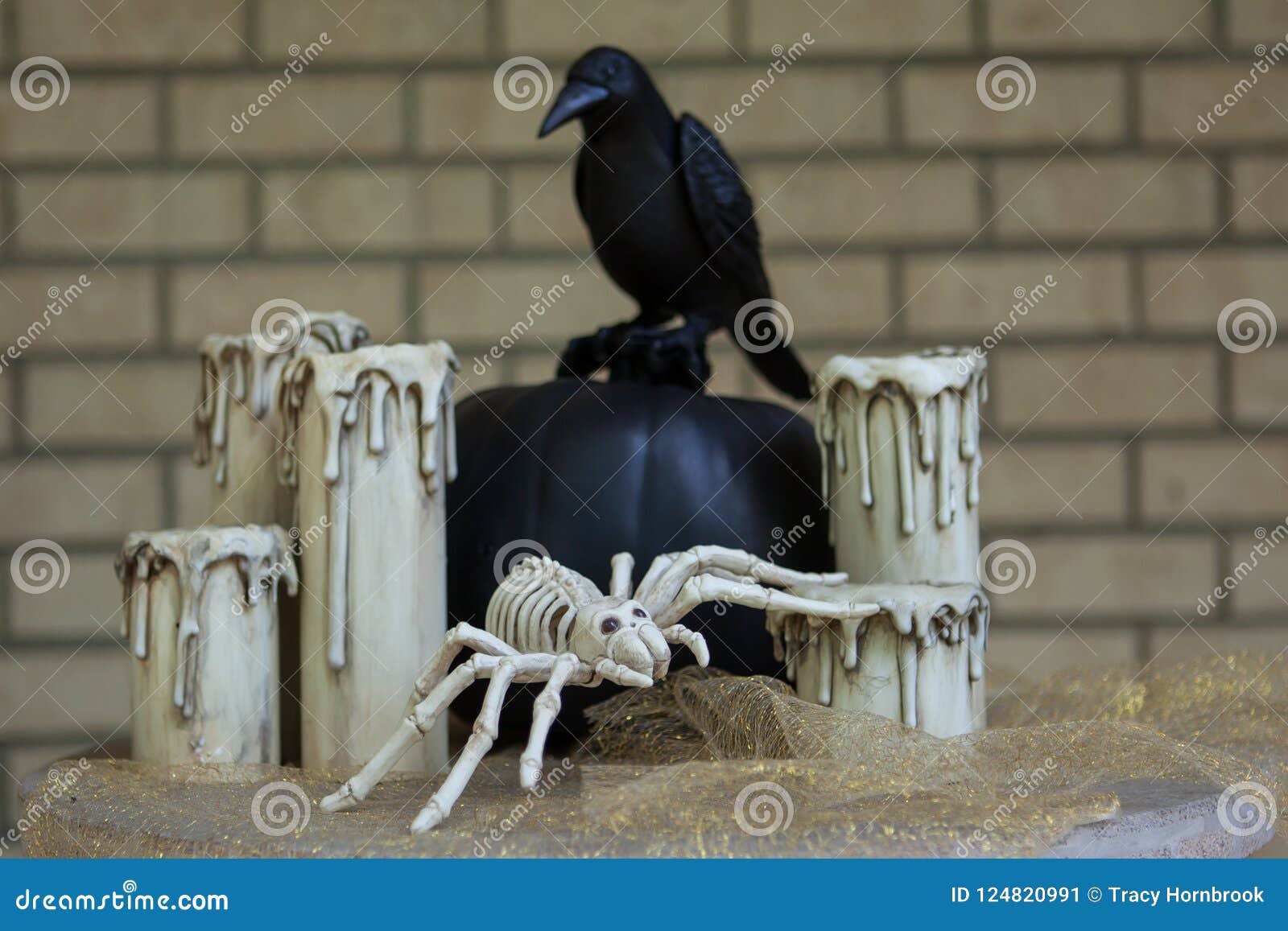 Ragno Di Scheletro Nelle Decorazioni Di Halloween Immagine Stock ...