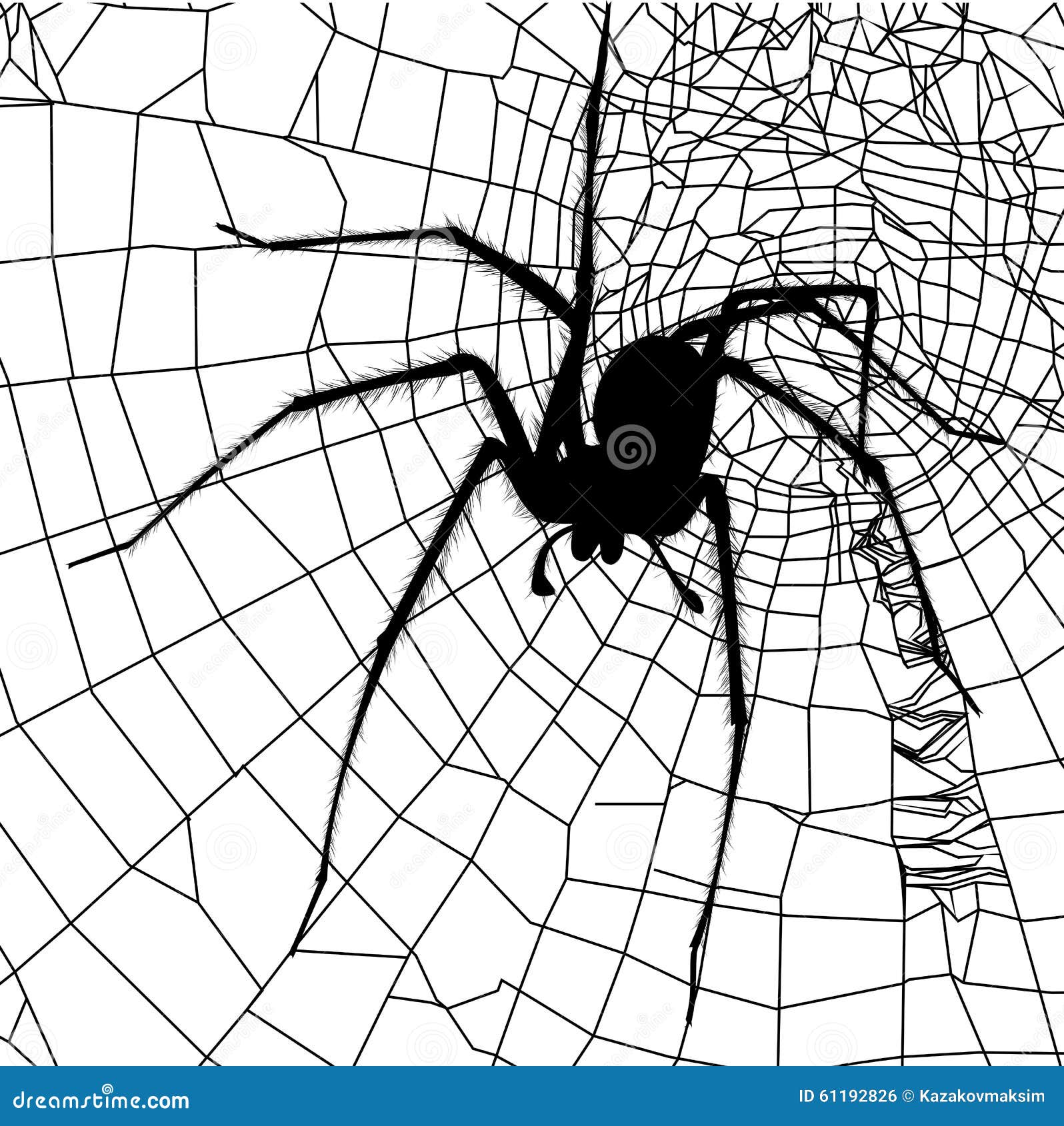 Ragno e ragnatela illustrazione vettoriale. Illustrazione di artropodo ...