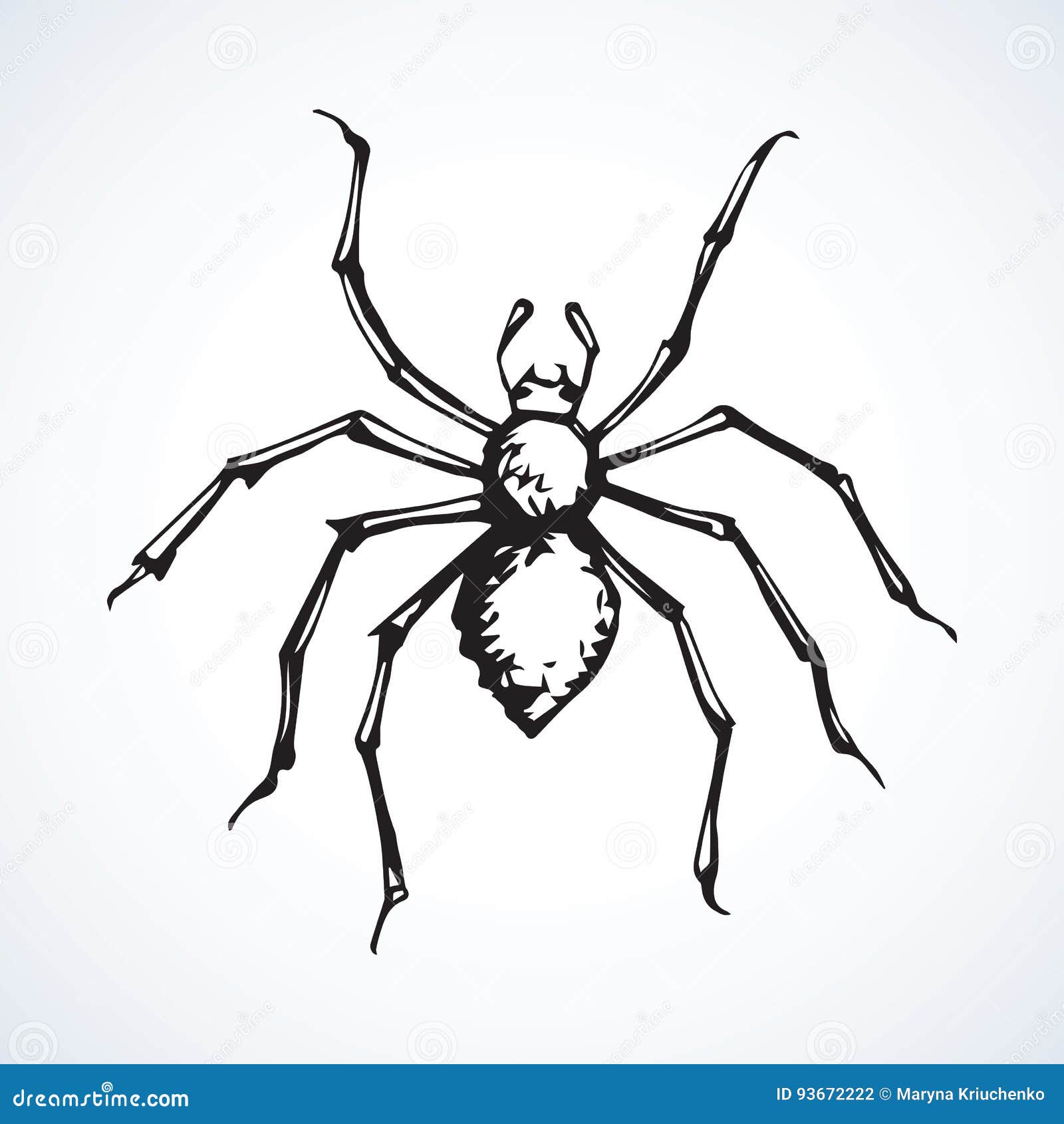 Ragno Illustrazione Di Vettore Illustrazione Vettoriale - Illustrazione ...