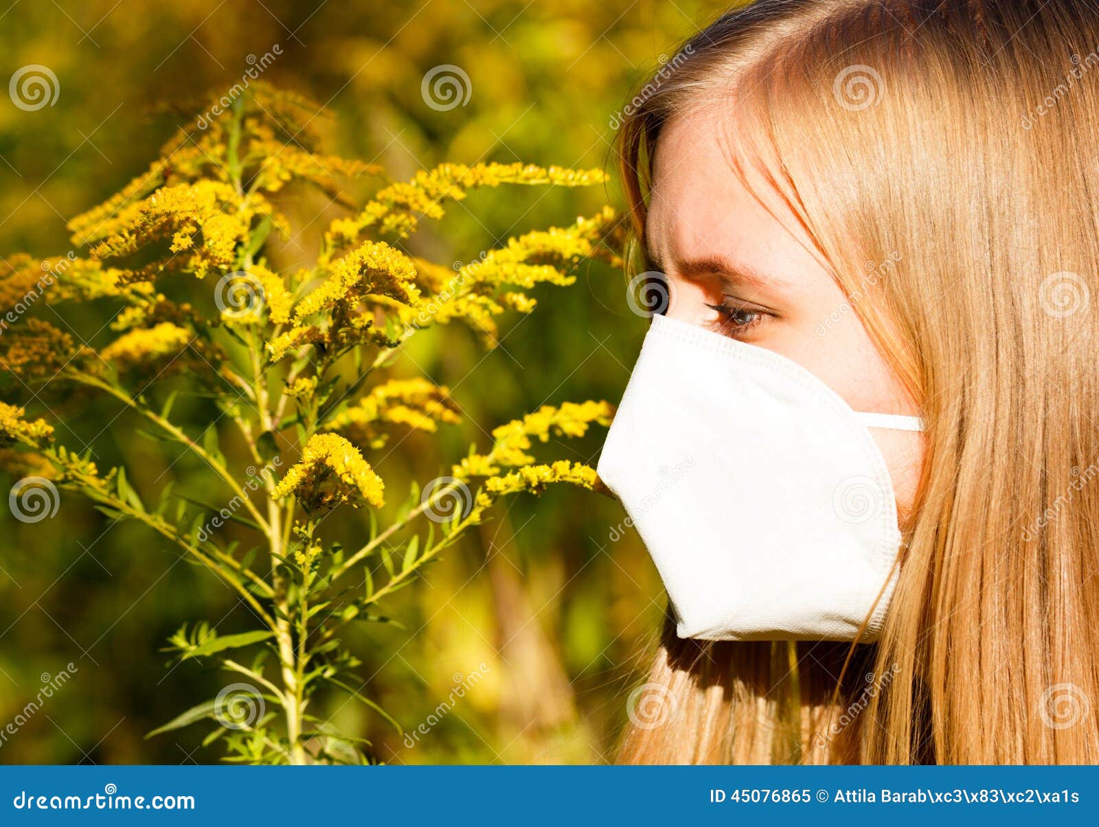 Ragweed Allergy stock image. Image of allergic, sensible - 45076865
