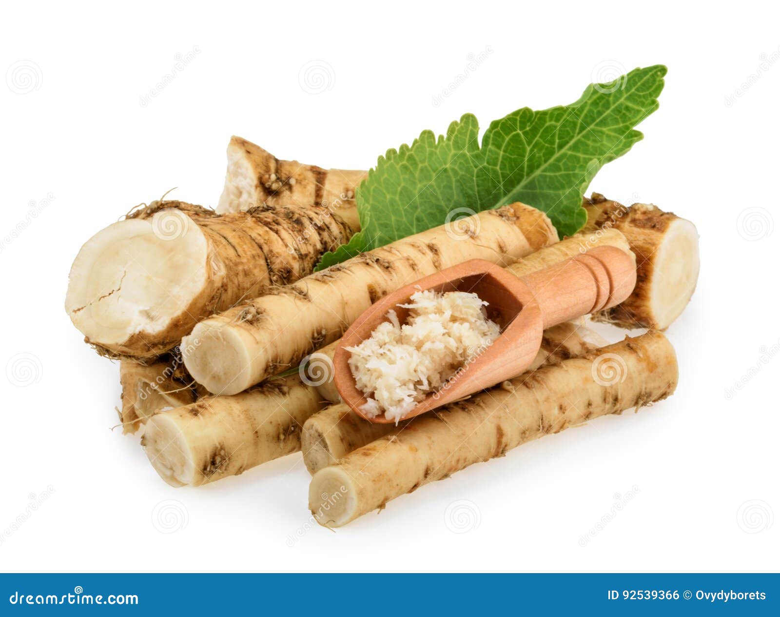 Raifort D'isolement Sur Le Fond Blanc Photo stock - Image du cheval ...