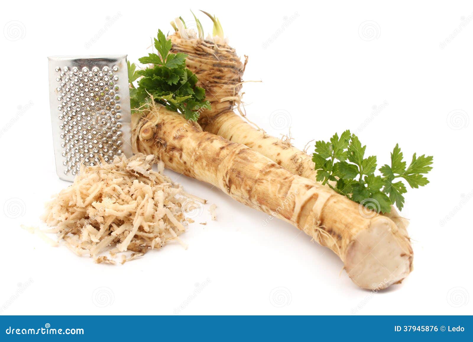 Raifort frais photo stock. Image du chaud, coupure, condiments - 37945876