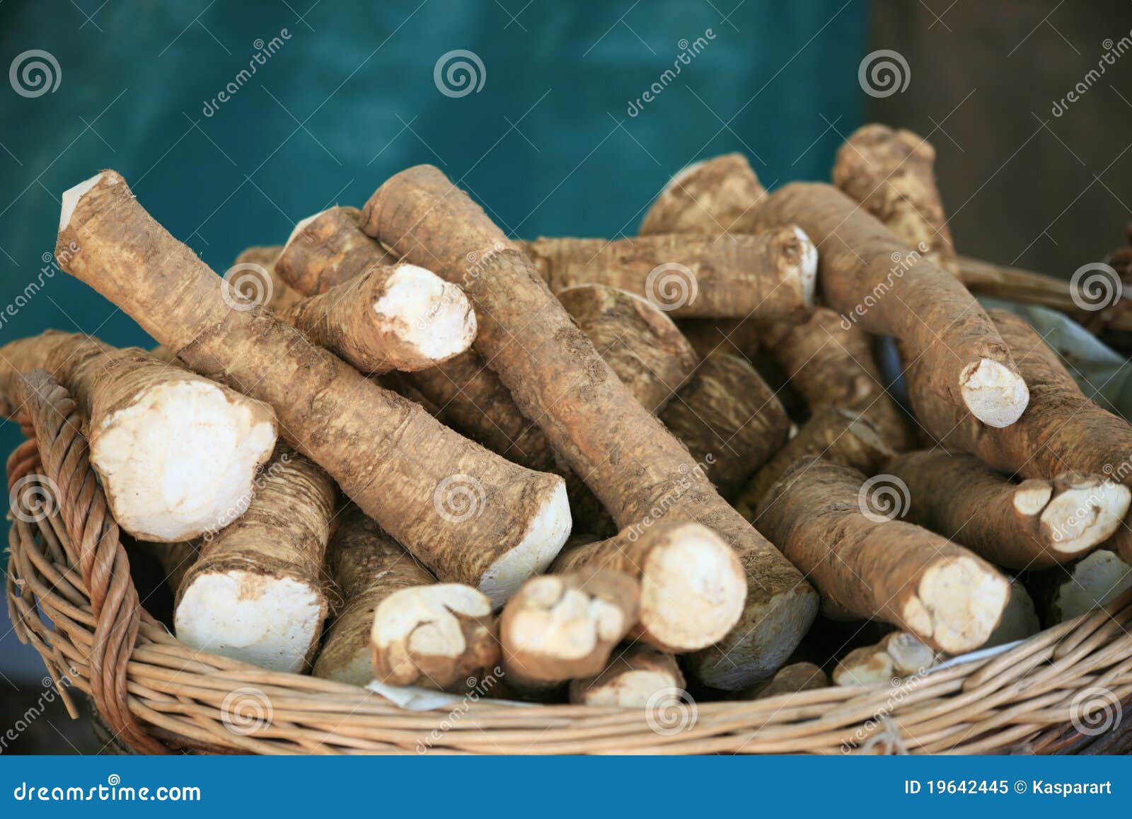 Raifort sauvage image stock. Image du moisson, blanc - 19642445