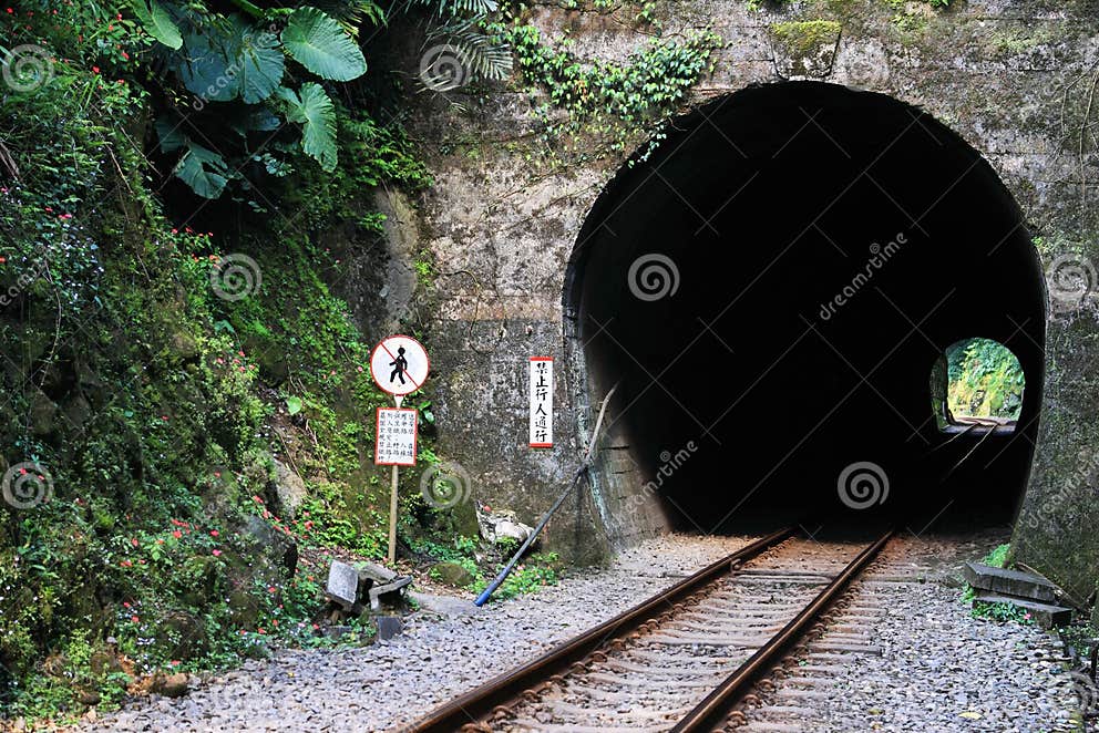Rail cave stock photo. Image of taiwan, wild, railway - 18060386