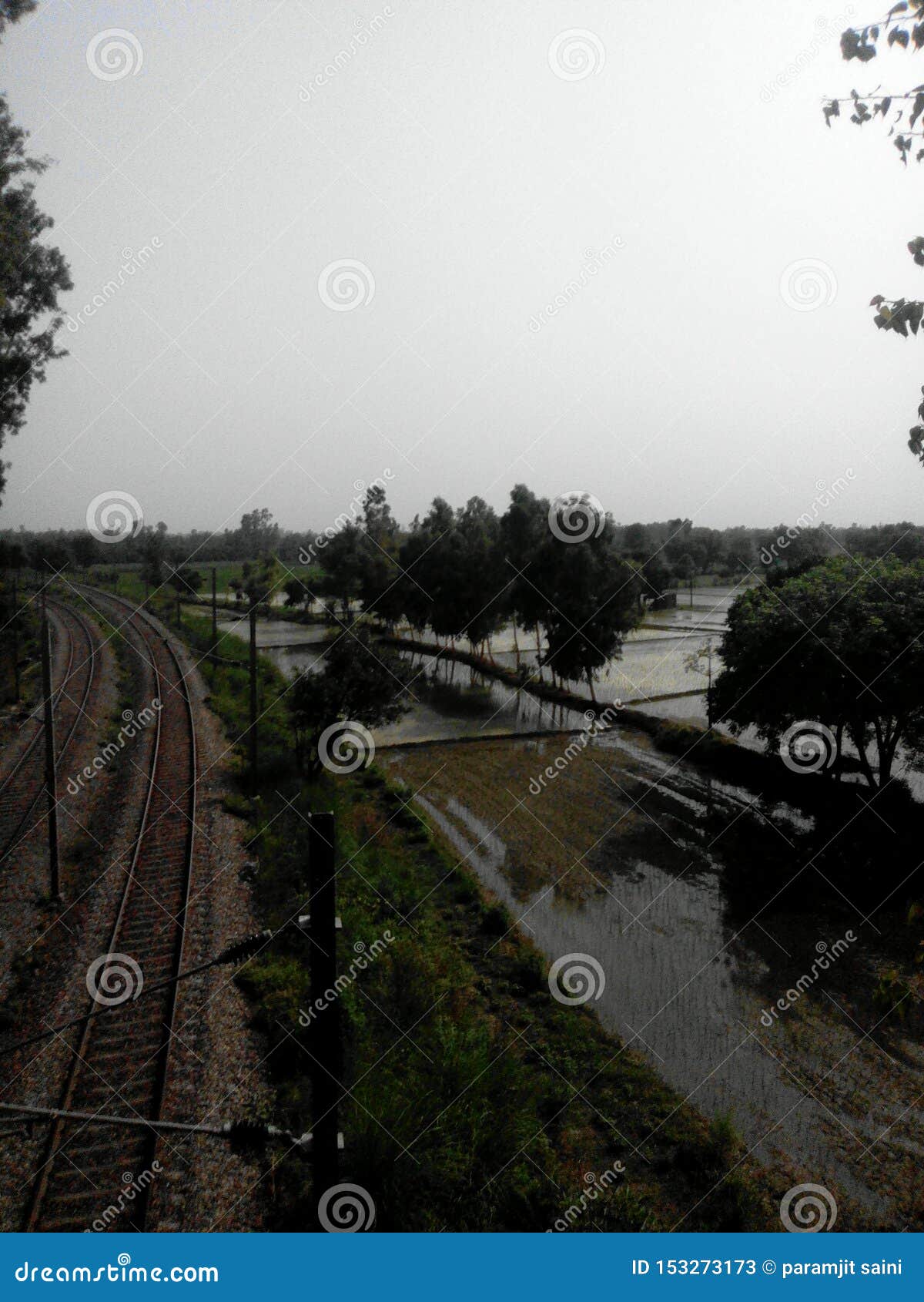 Rail and crops stock image. Image of crops, rail, water - 153273173