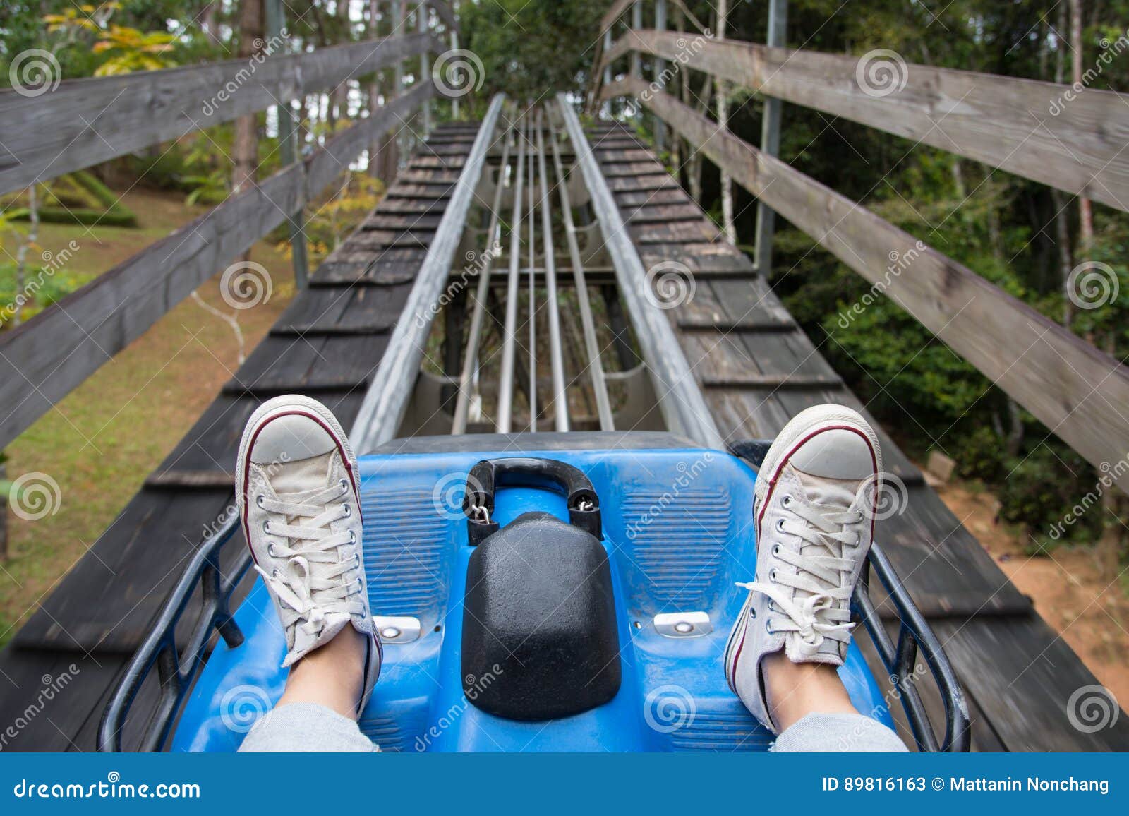Rail Downhill On A Trolley, Point Of View During A Ride On Alpine ...