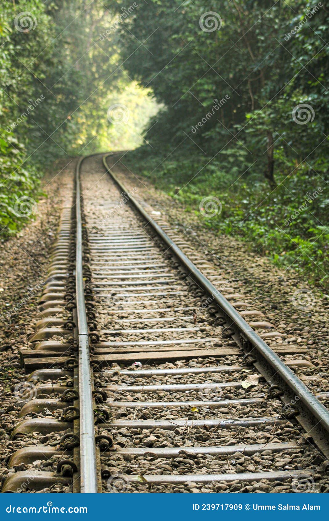 Rail Line Moving in Right Direction Stock Image - Image of line, soil ...