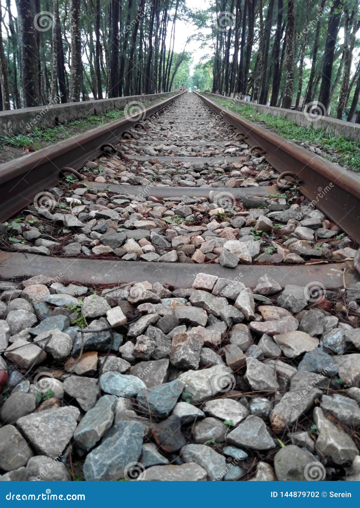 Rail Line stock photo. Image of rail, rocks, line, beauty - 144879702