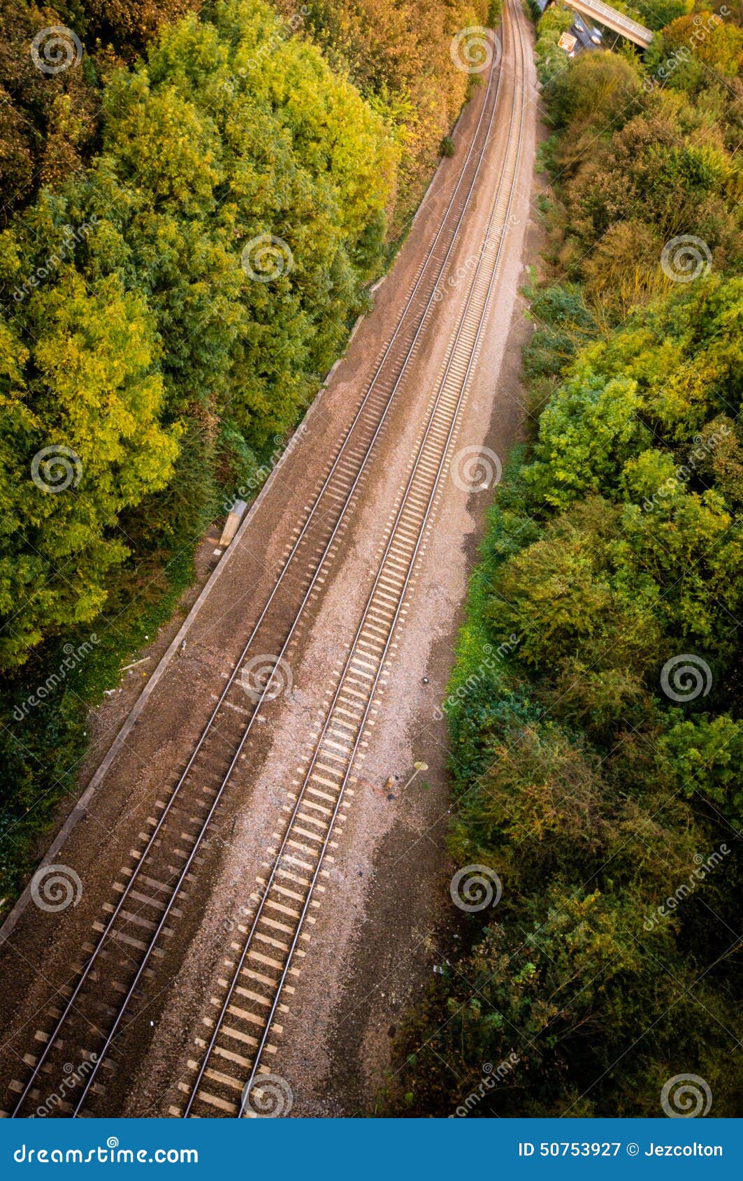 Rail Lines stock image. Image of green, tourism, nature - 50753927