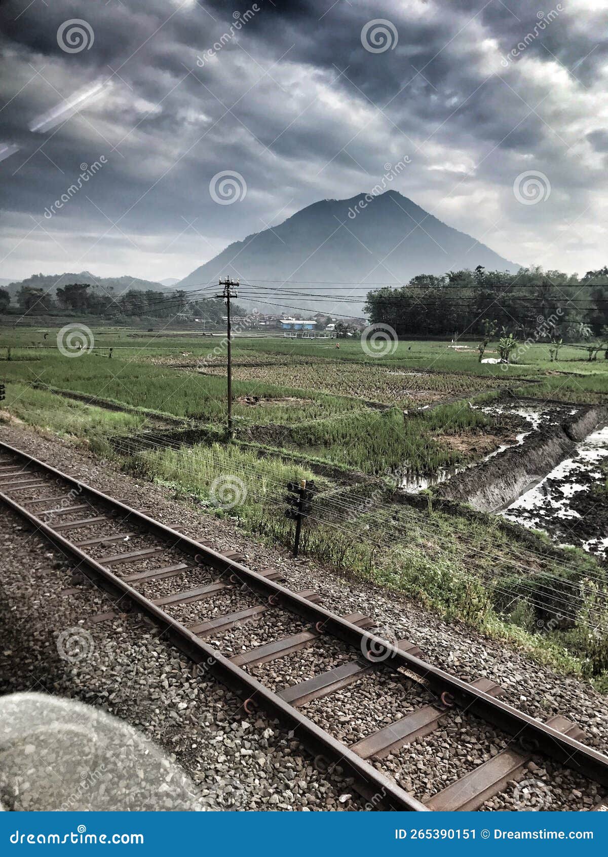 Rail by rice field stock image. Image of rail, field - 265390151
