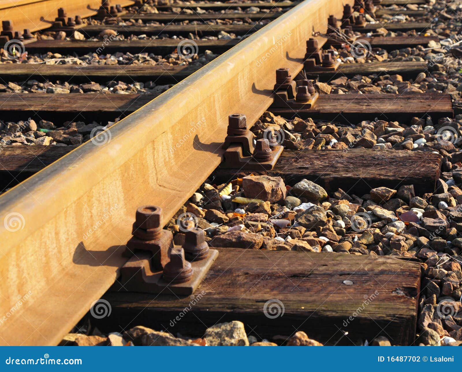 Rail Road Tracks stock photo. Image of travel, tracks - 16487702